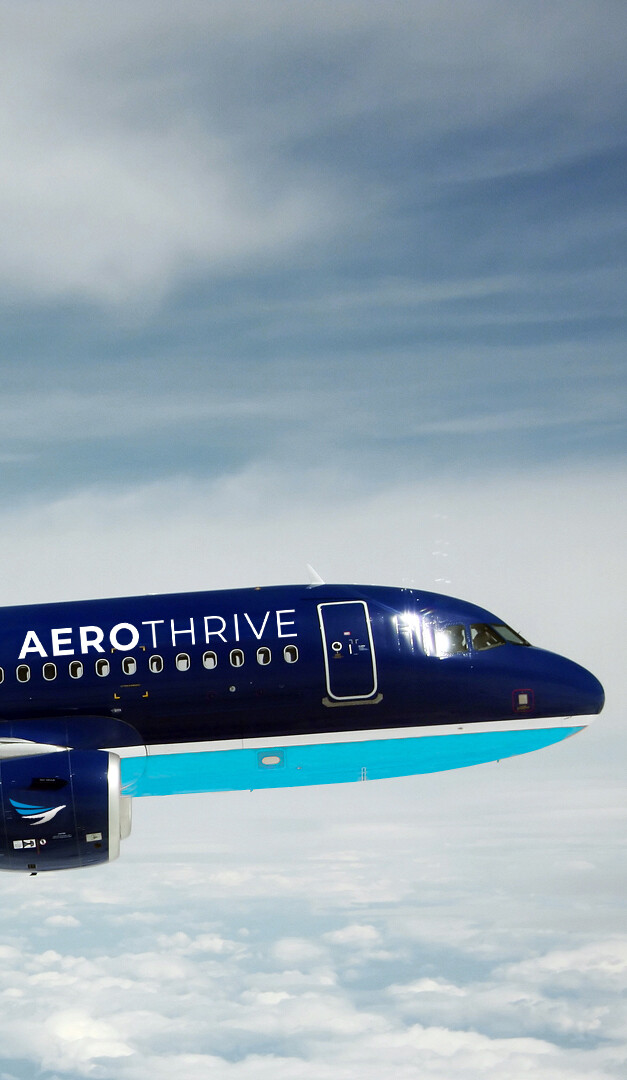 Safety Risk Auditor Diploma | AEROTHRIVE