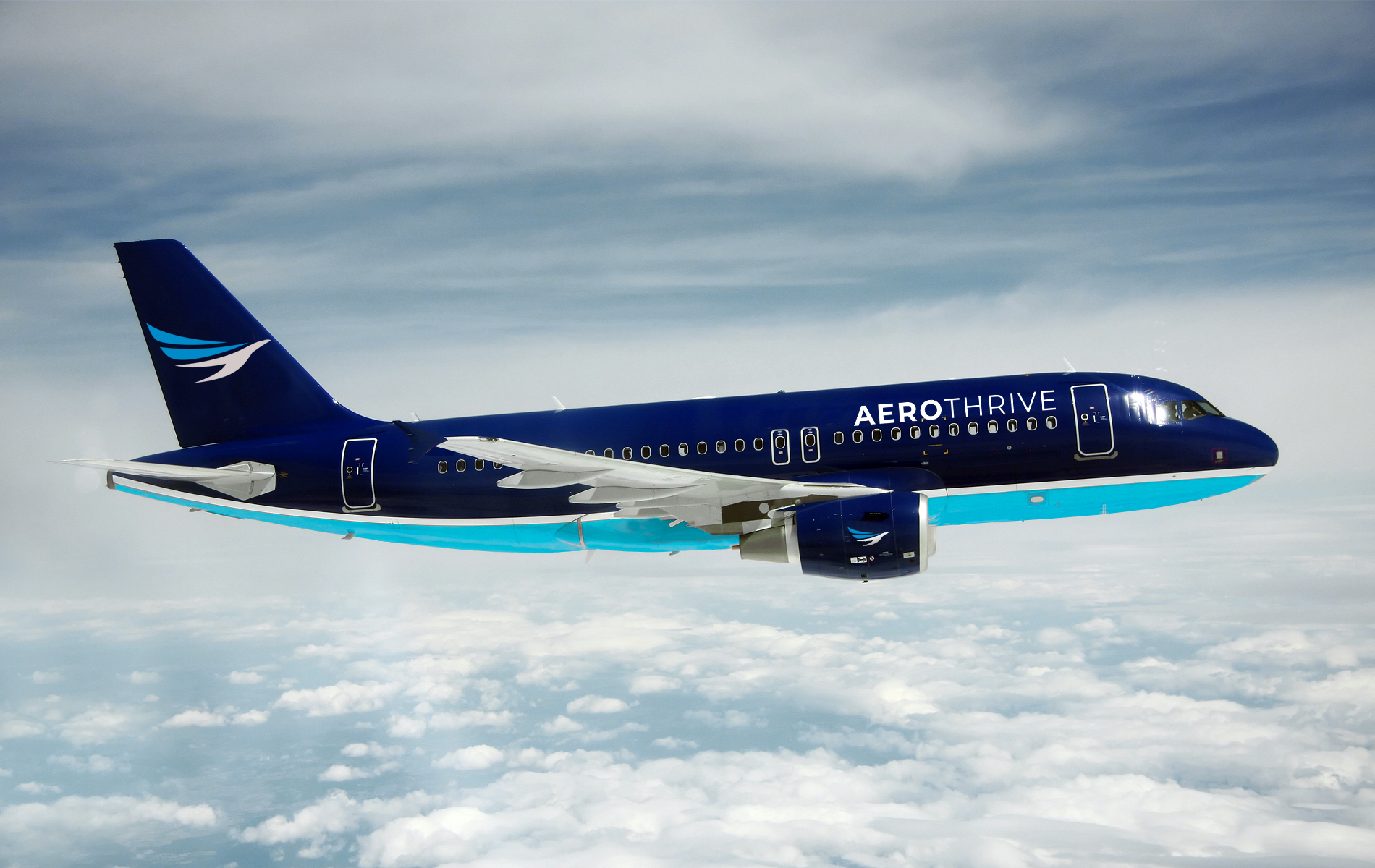 Home | AEROTHRIVE Aviation Training